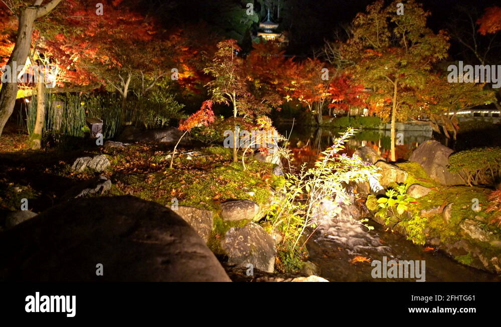 Static Shot of Waterfall over Pagoda Fall Foliage Illumination in Kyoto ...