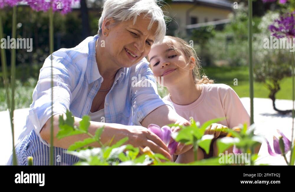 Study garden Stock Videos & Footage - HD and 4K Video Clips - Alamy
