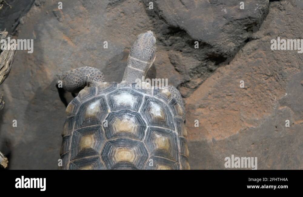 Domed rocks Stock Videos & Footage - HD and 4K Video Clips - Alamy
