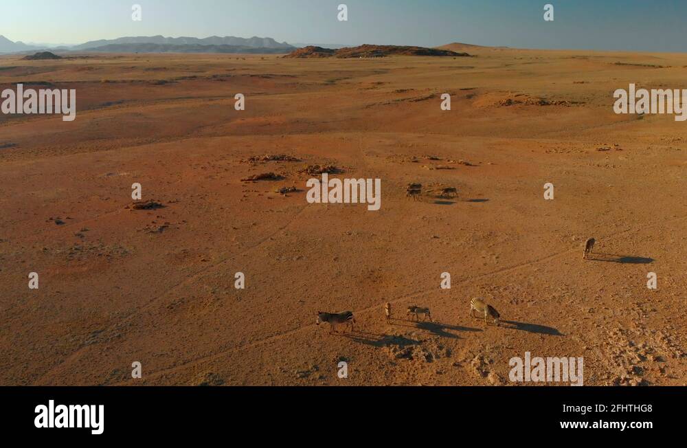 Beautiful plains Stock Videos & Footage - HD and 4K Video Clips - Alamy