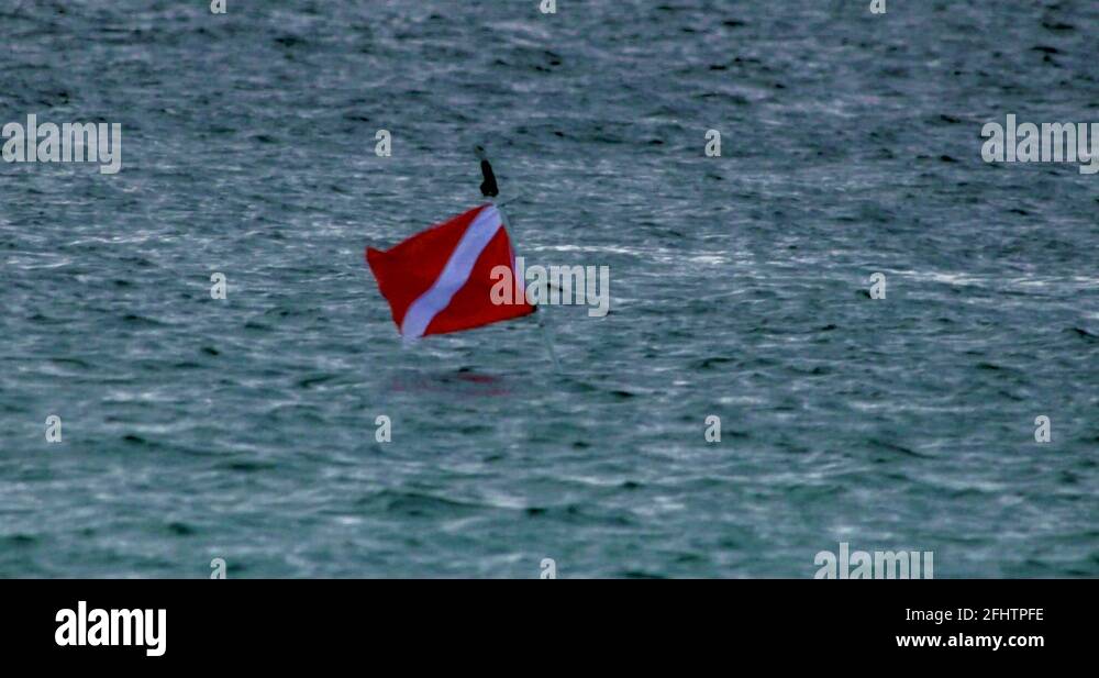 Diver in water flag Stock Videos & Footage - HD and 4K Video Clips - Alamy