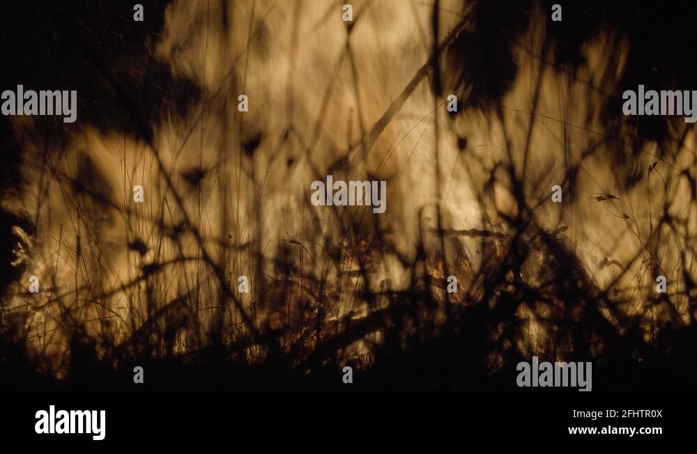 Outback grass fire Stock Videos & Footage - HD and 4K Video Clips - Alamy