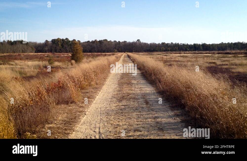 Pathway through the field Stock Videos & Footage - HD and 4K Video ...