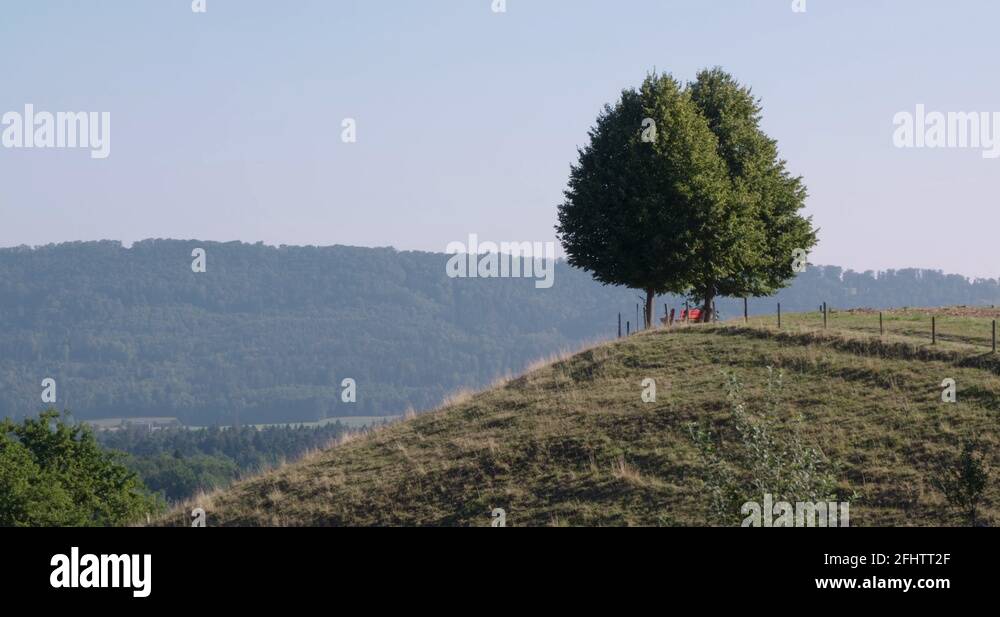 Grass hill trees shadow Stock Videos & Footage - HD and 4K Video Clips ...