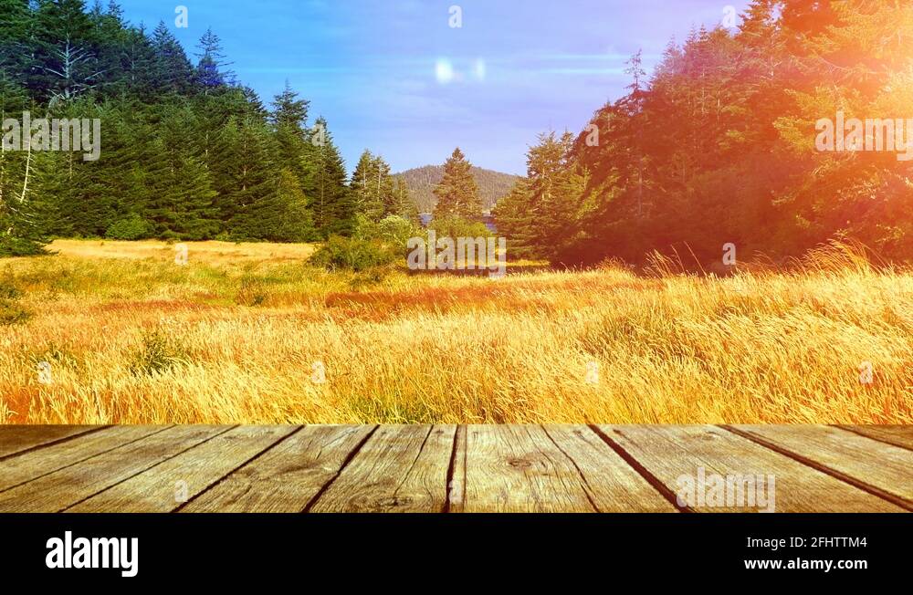 Vista outdoor Stock Videos & Footage - HD and 4K Video Clips - Alamy