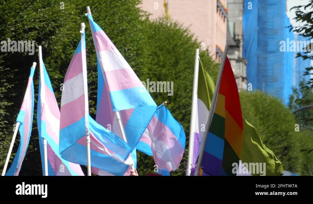Transgender Trans Pride Flag Symbol, Sexual Gender Rights Community ...