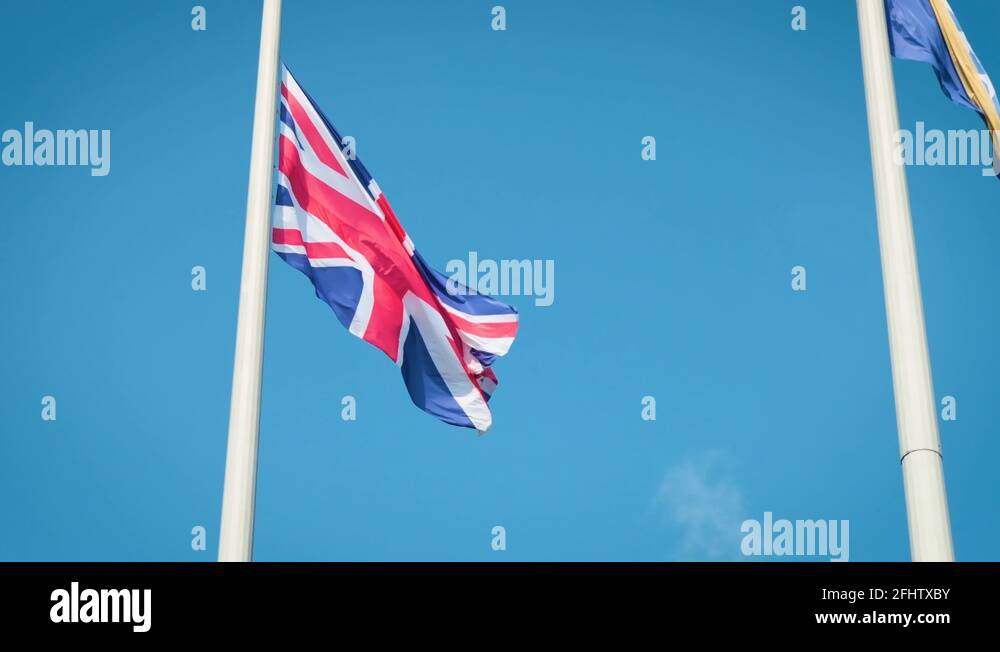 State logo design Stock Videos & Footage - HD and 4K Video Clips - Alamy