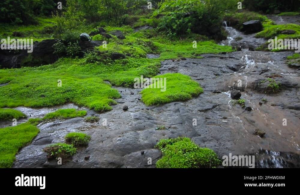 Water ghats Stock Videos & Footage - HD and 4K Video Clips - Alamy