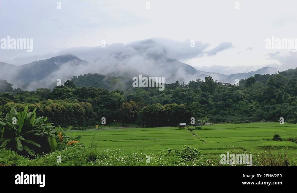 Misty mountains over rice in Stock Videos & Footage - HD and 4K Video ...