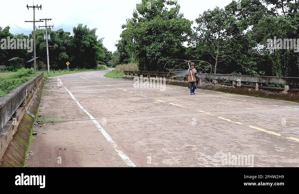 Thai Mother fishing and catching fish with lift net in Chiang Rai ...