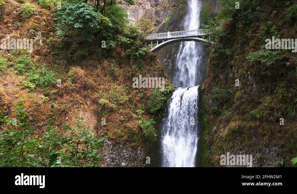 Multnomah state park Stock Videos & Footage - HD and 4K Video Clips - Alamy