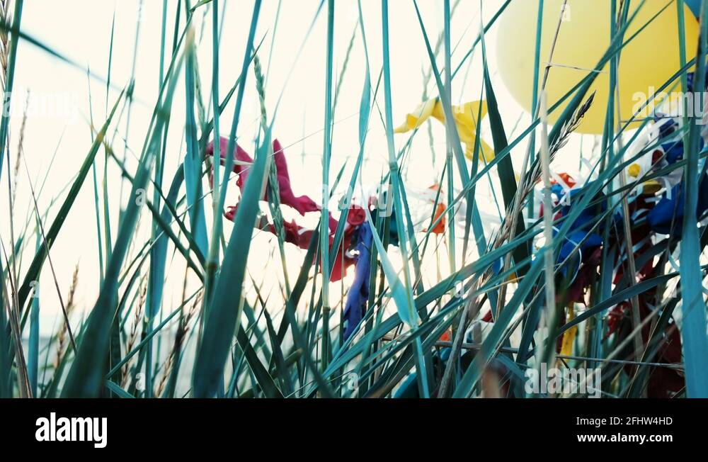 Garbage decomposition Stock Videos & Footage - HD and 4K Video Clips - Alamy