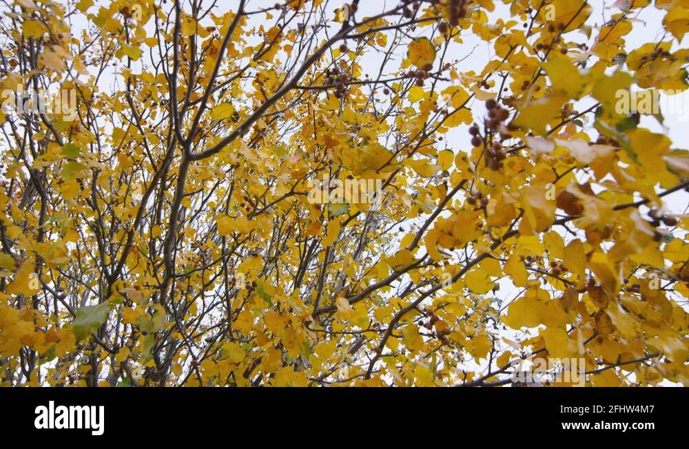 Camera life cycle Stock Videos & Footage - HD and 4K Video Clips - Alamy