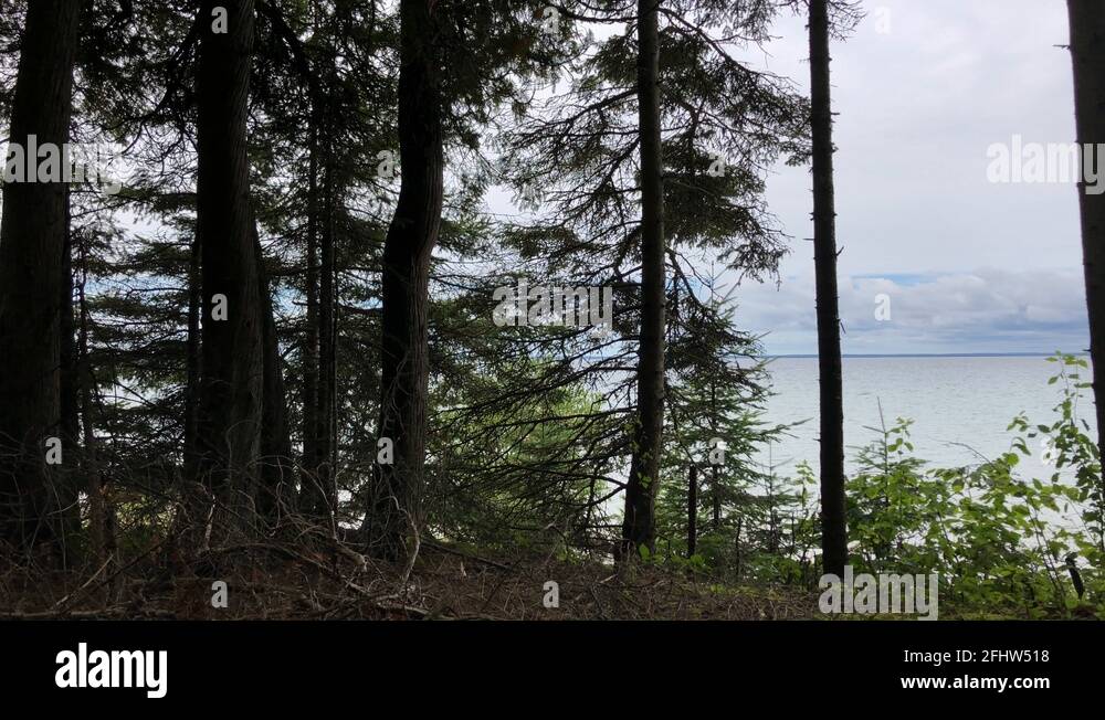 Looking out from the forested shoreline of Lake Huron, Great Lakes, USA ...