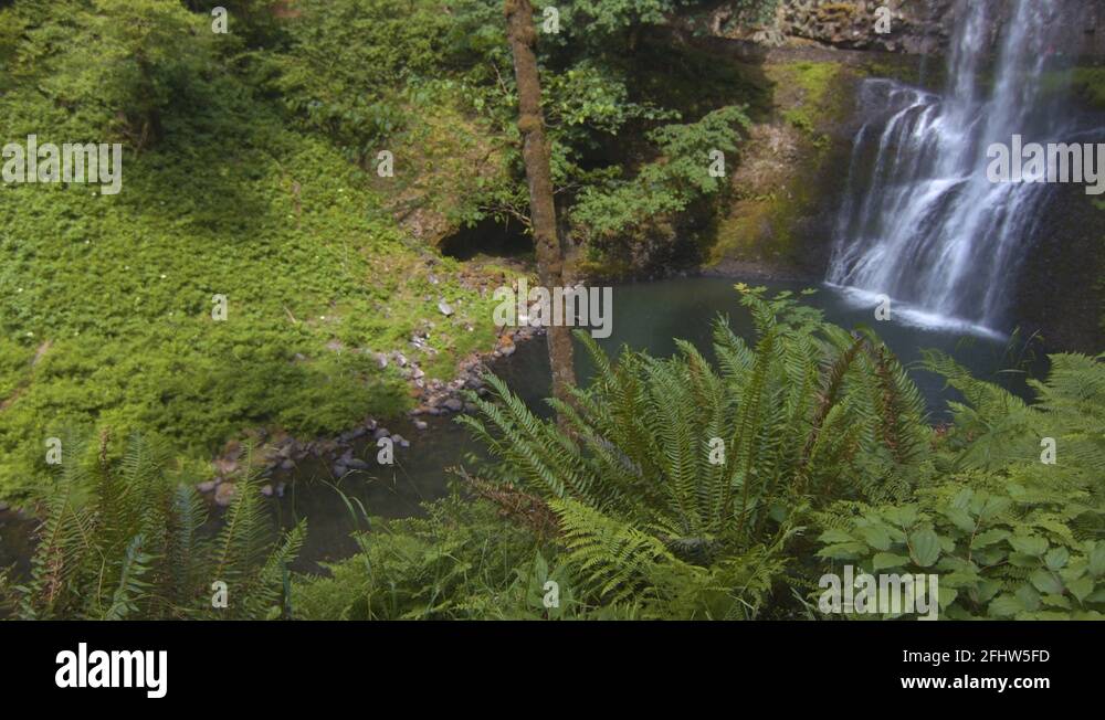 Ferns Above Lower South Falls in Silver Falls State Park Stock Video ...