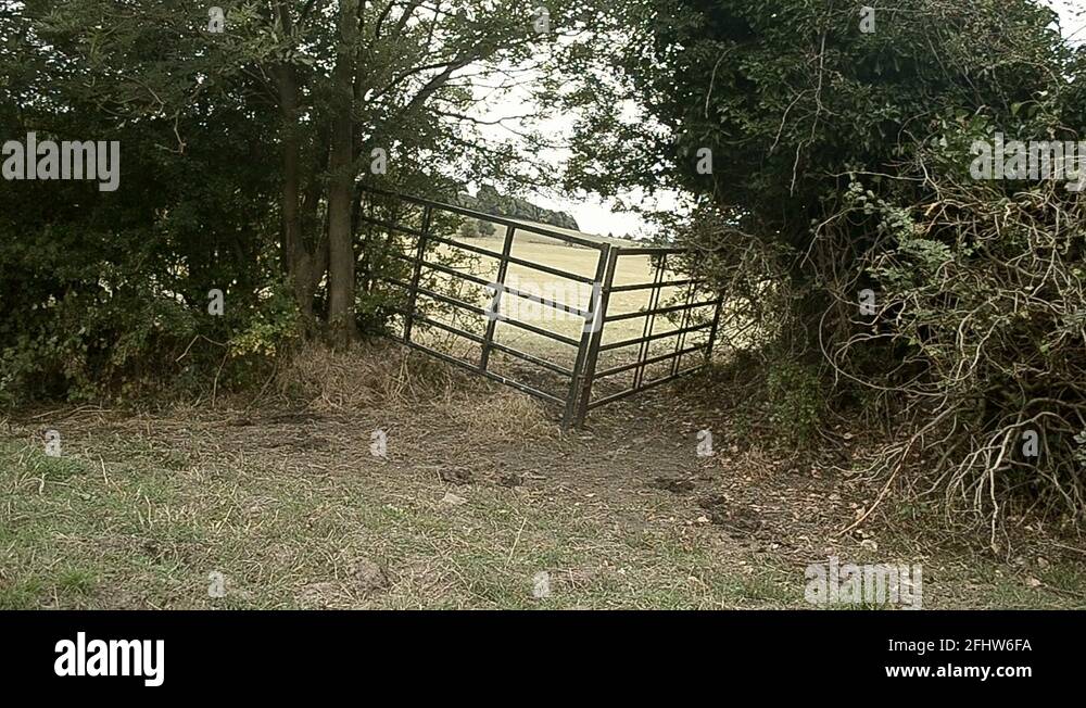 Gate field Stock Videos & Footage - HD and 4K Video Clips - Alamy