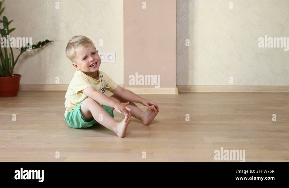 Shiba inu huge dog coming to a happy child. Baby boy is feeding his ...