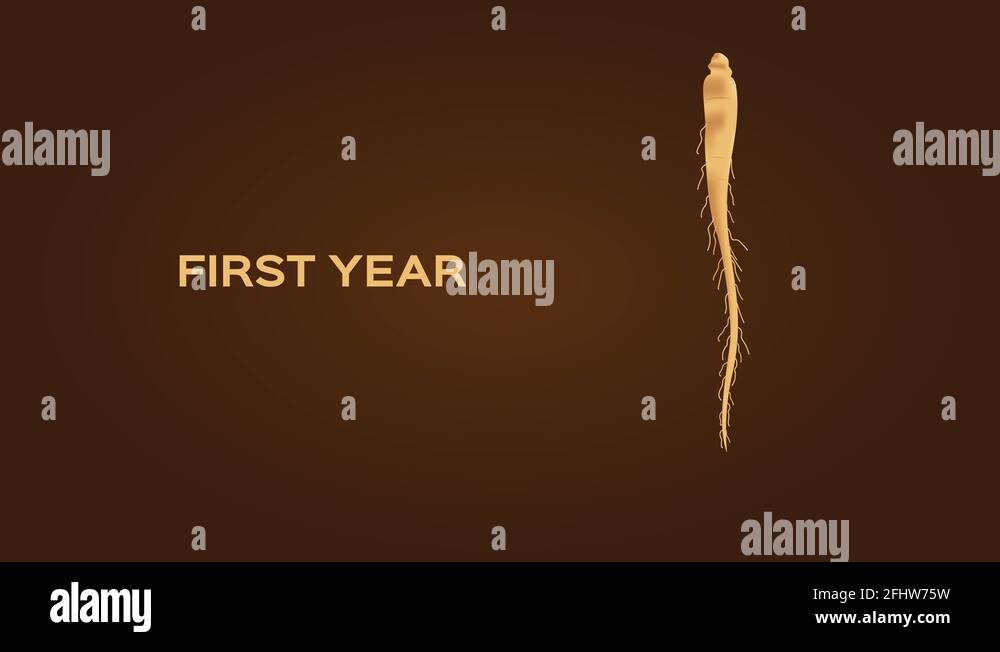 Ginseng flower Stock Videos & Footage - HD and 4K Video Clips - Alamy