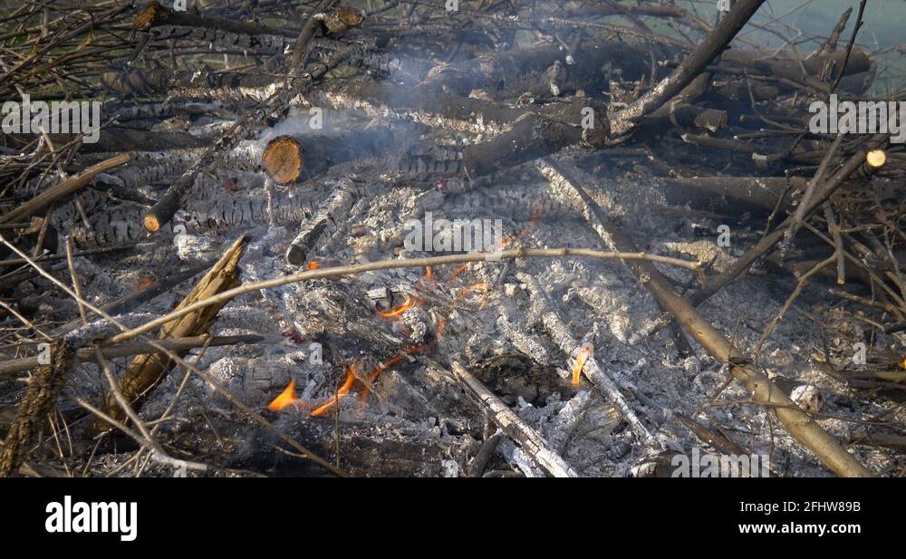 Slash pile Stock Videos & Footage - HD and 4K Video Clips - Alamy