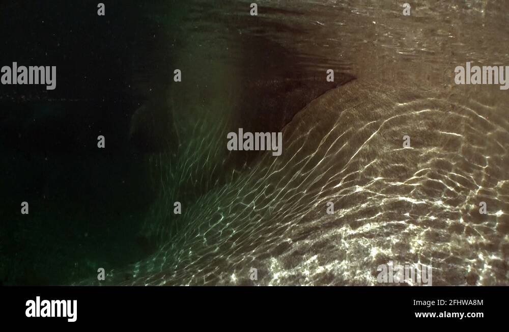 Refraction of sunlight underwater on smooth stones of river Verzasca ...