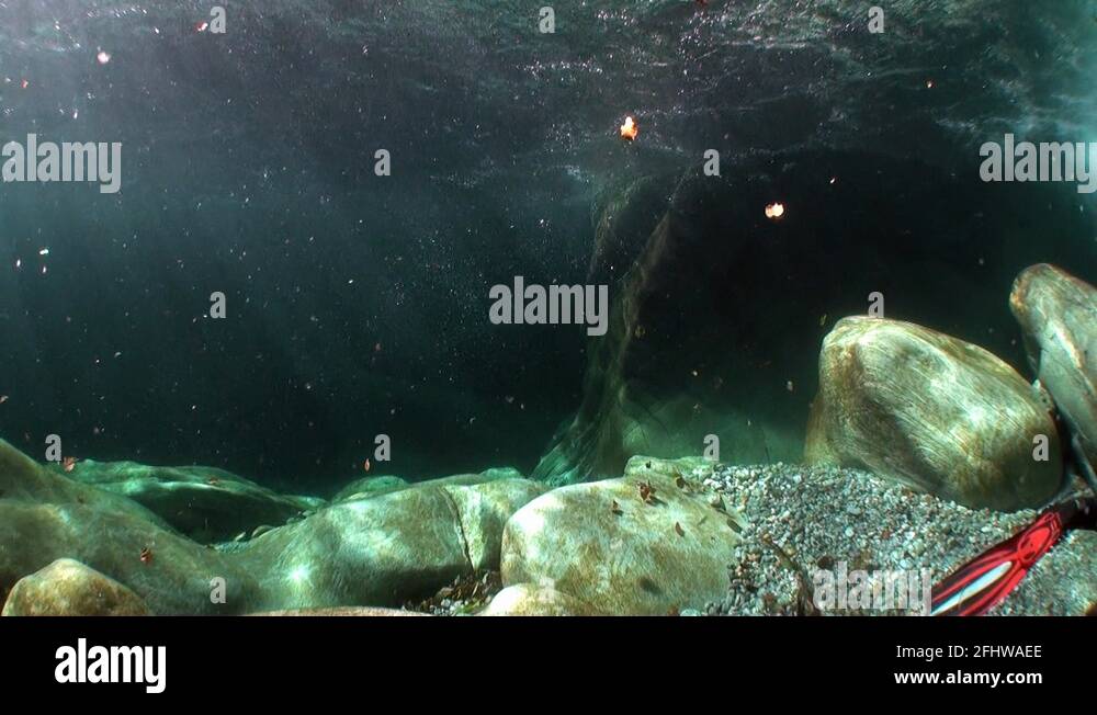 Refraction of sunlight underwater on smooth stones of river Verzasca ...