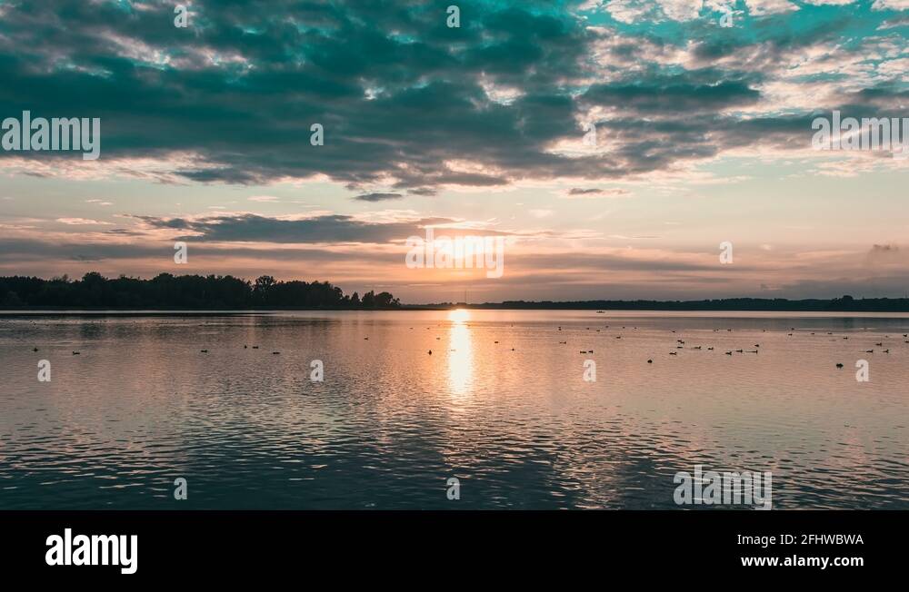 Blody Stock Videos & Footage - HD and 4K Video Clips - Alamy