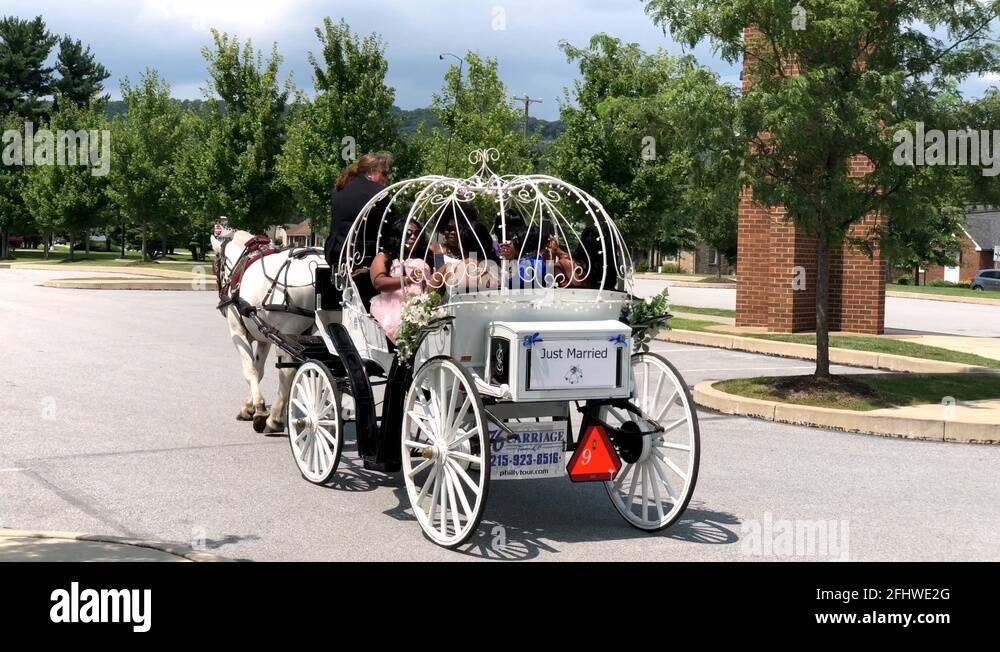 Cinderella carriage illustration Stock Videos & Footage - HD and 4K ...