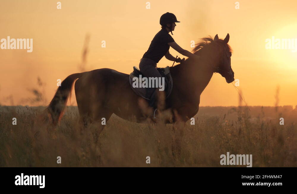 Woman mounts a horse in the field, side view. Human and animal love ...