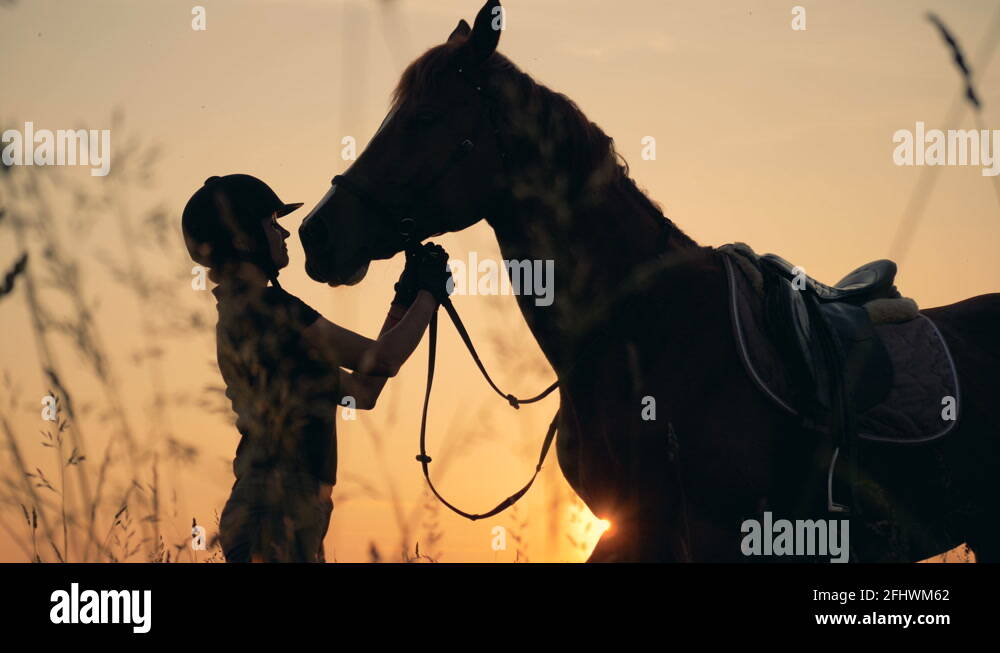 Rider human Stock Videos & Footage - HD and 4K Video Clips - Alamy