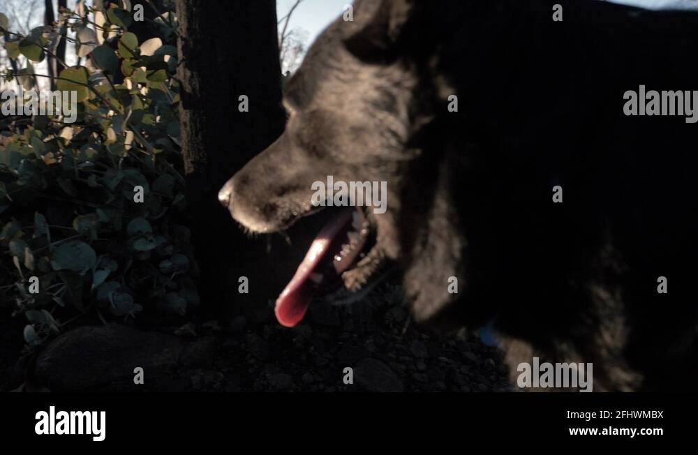 Barren environment Stock Videos & Footage - HD and 4K Video Clips - Alamy