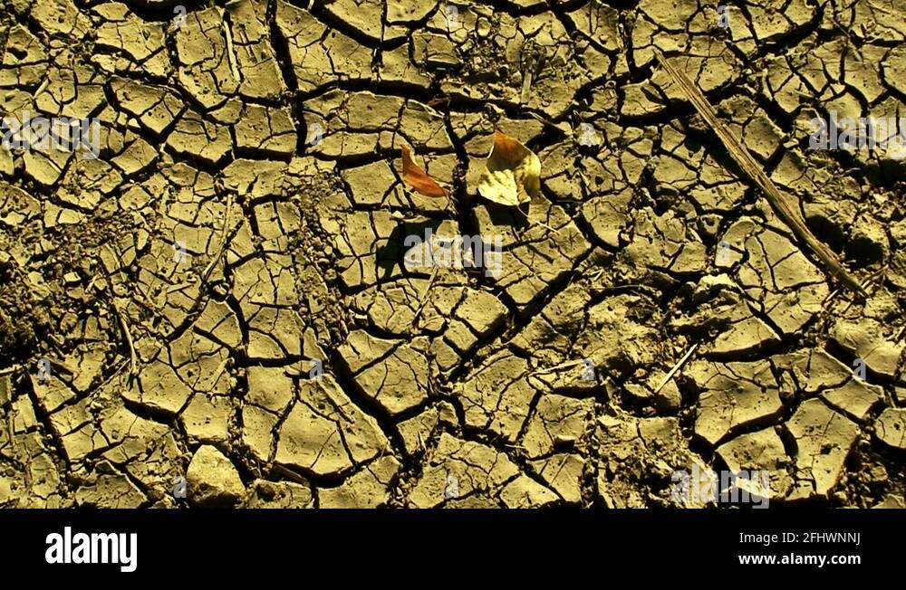 Dried out earth Stock Videos & Footage - HD and 4K Video Clips - Alamy