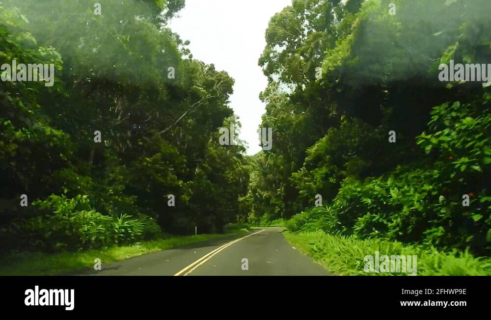 Pali road Stock Videos & Footage - HD and 4K Video Clips - Alamy