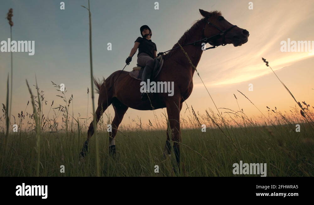 Horse rider view Stock Videos & Footage - HD and 4K Video Clips - Alamy