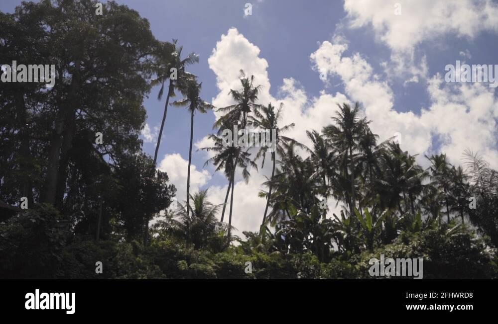 Elephant cave temple in bali Stock Videos & Footage - HD and 4K Video ...