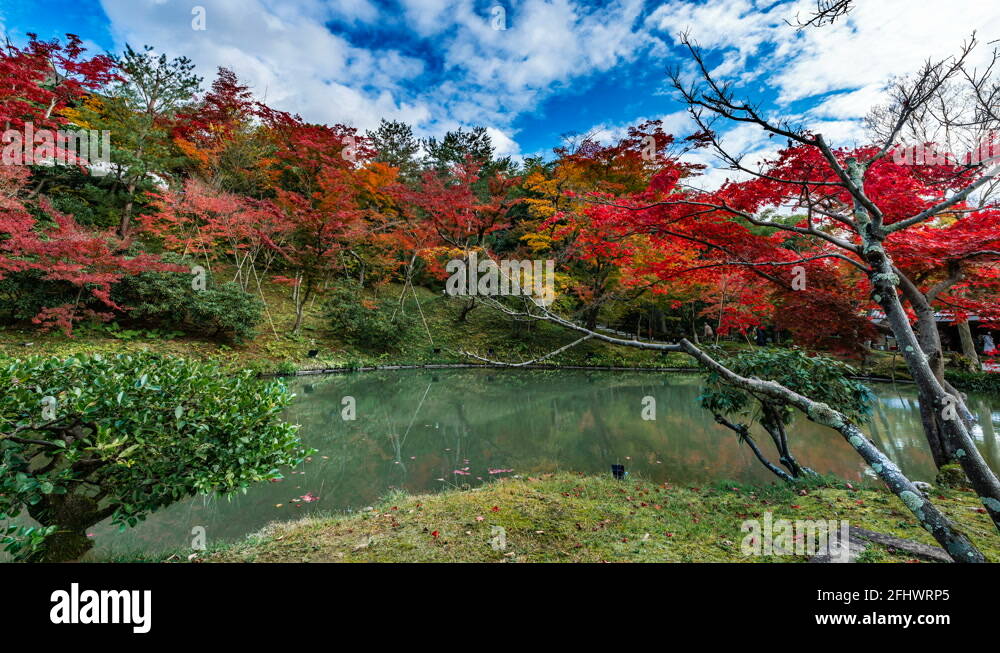 Fall foliage kyoto Stock Videos & Footage - HD and 4K Video Clips - Alamy