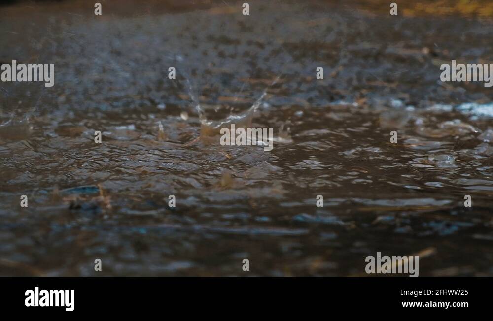 Rain drops are dripping in a puddle, spray close-up.. Heavy rain, slow ...