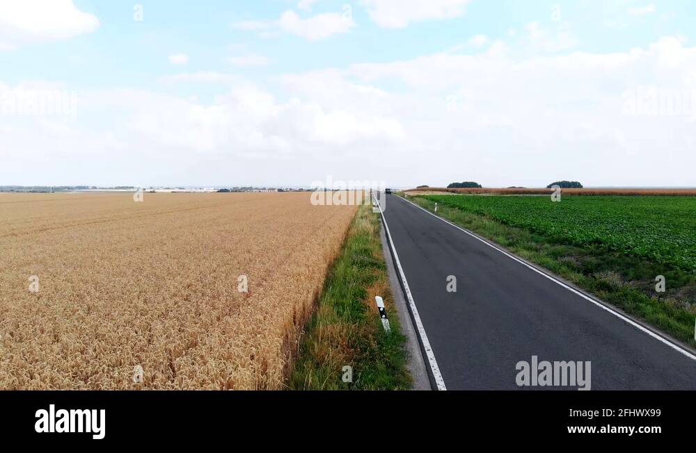 German wheat field Stock Videos & Footage - HD and 4K Video Clips - Alamy