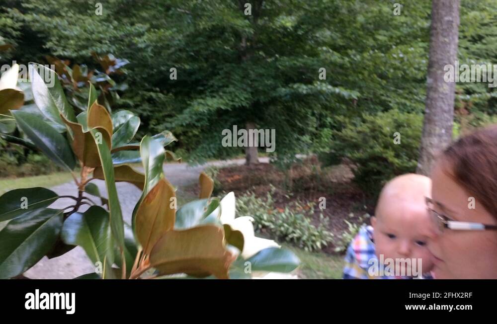 Boy smelling flower Stock Videos & Footage - HD and 4K Video Clips - Alamy