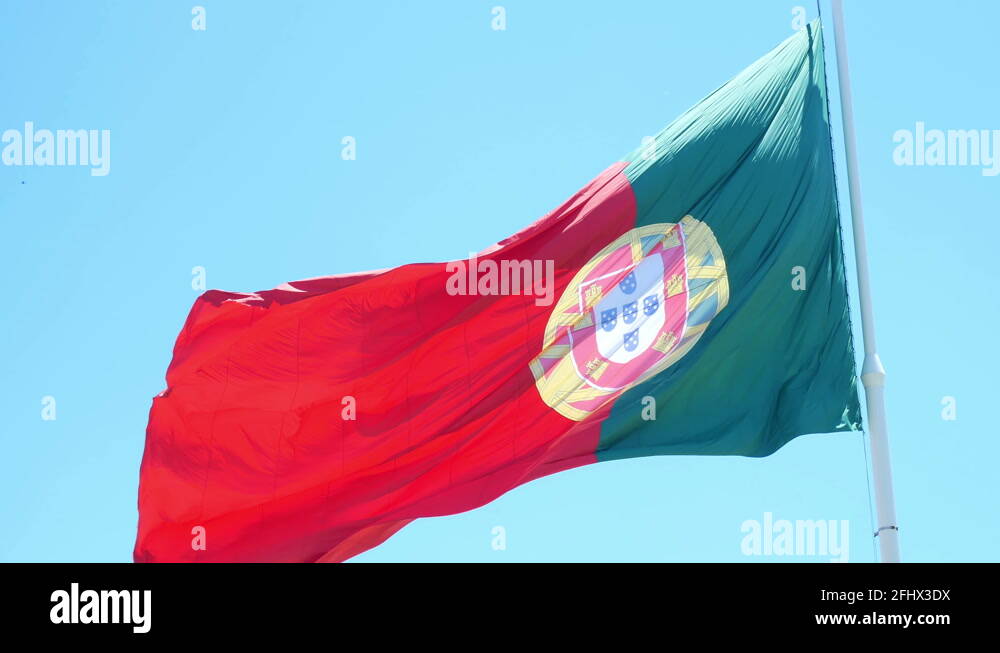 Bandeira das quinas Stock Videos & Footage - HD and 4K Video Clips - Alamy