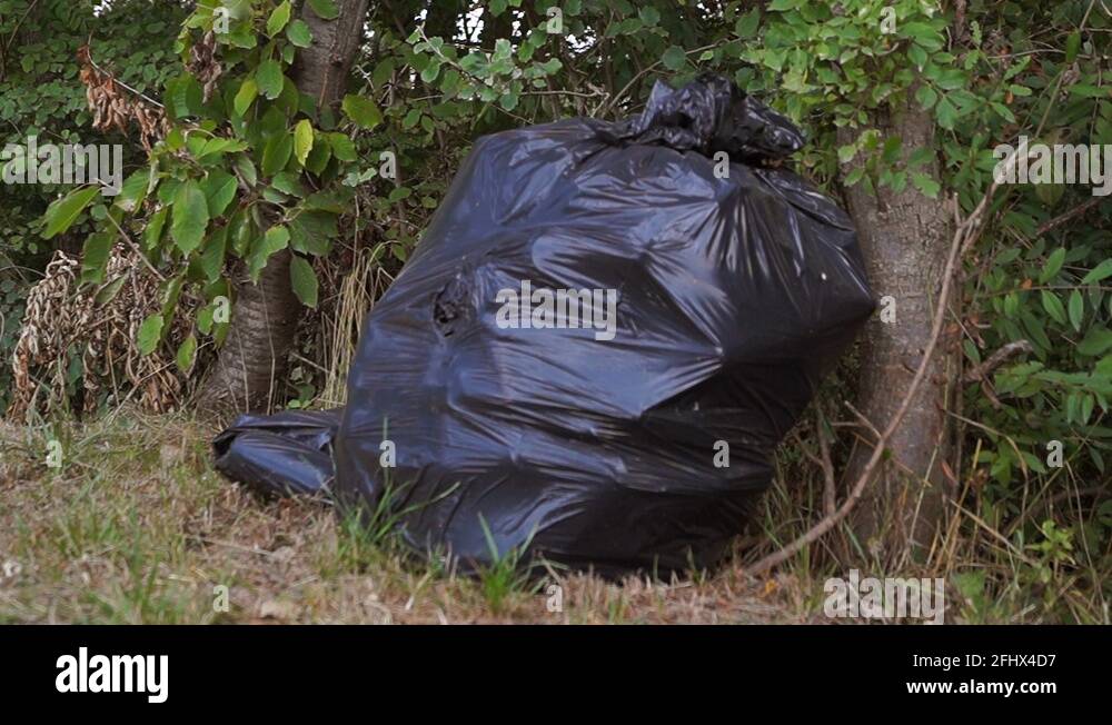 Litter littering Stock Videos & Footage - HD and 4K Video Clips - Alamy