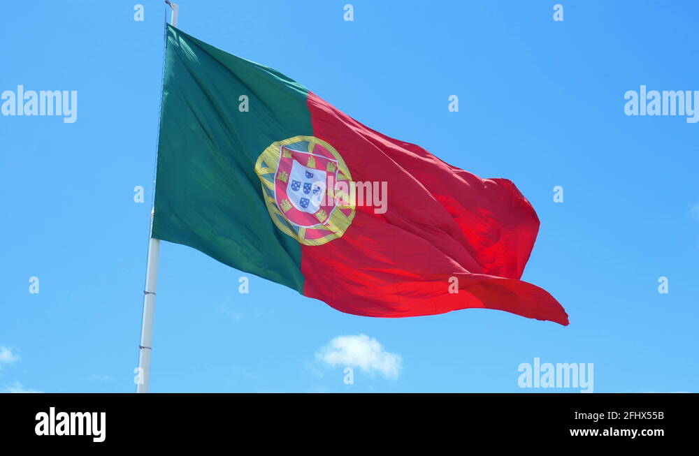Bandeira das quinas Stock Videos & Footage - HD and 4K Video Clips - Alamy