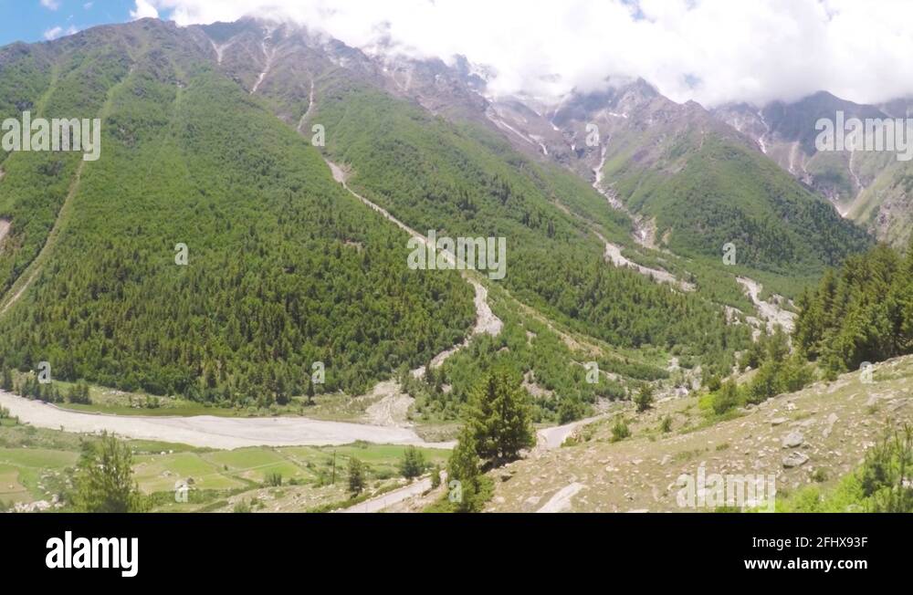 Vegetation border Stock Videos & Footage - HD and 4K Video Clips - Alamy