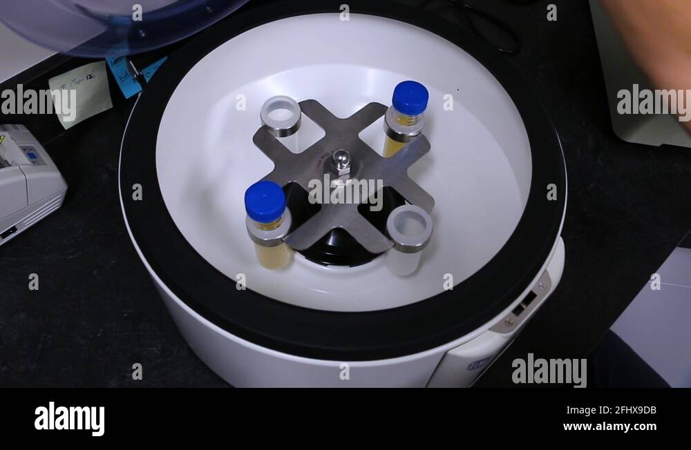 Non centrifugal Stock Videos & Footage - HD and 4K Video Clips - Alamy