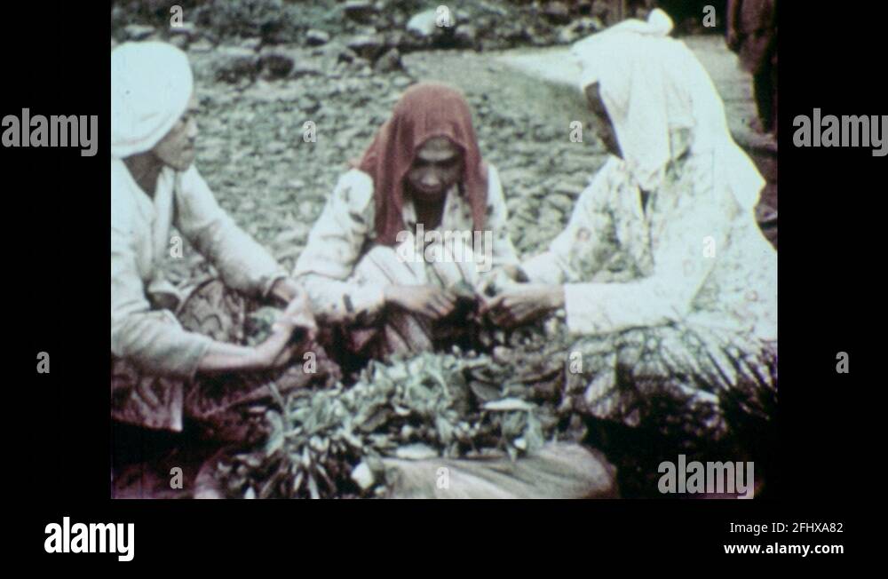 Farming guides Stock Videos & Footage - HD and 4K Video Clips - Alamy