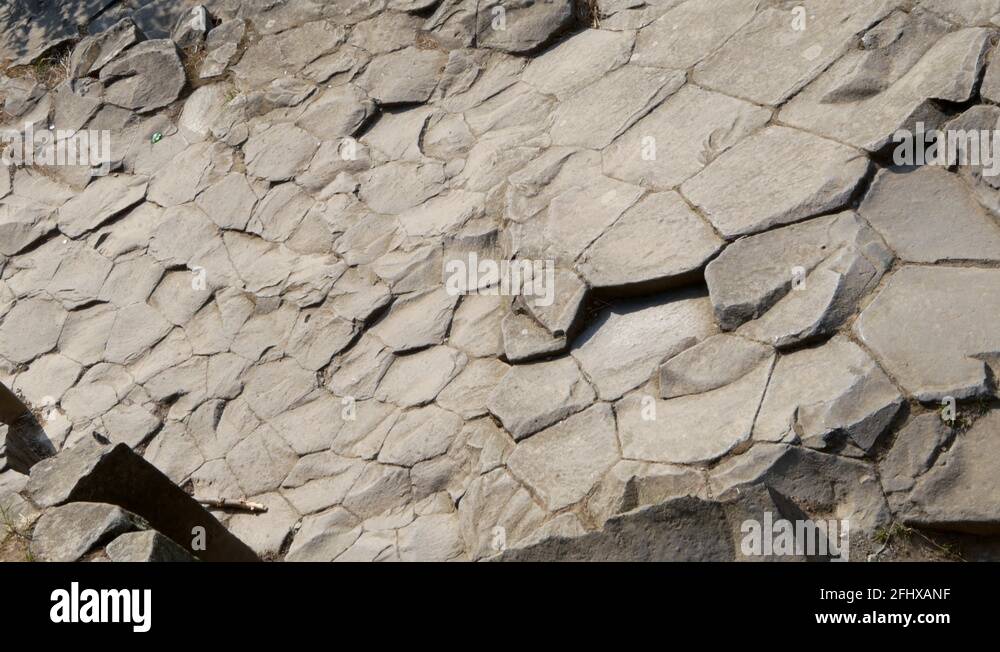 Hexagon natural pattern Stock Videos & Footage - HD and 4K Video Clips ...