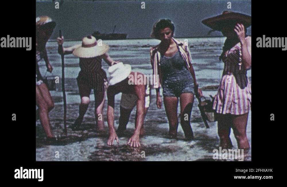 1940s: Man lifts dead reef and finds a mussel underneath. Mussel is put ...