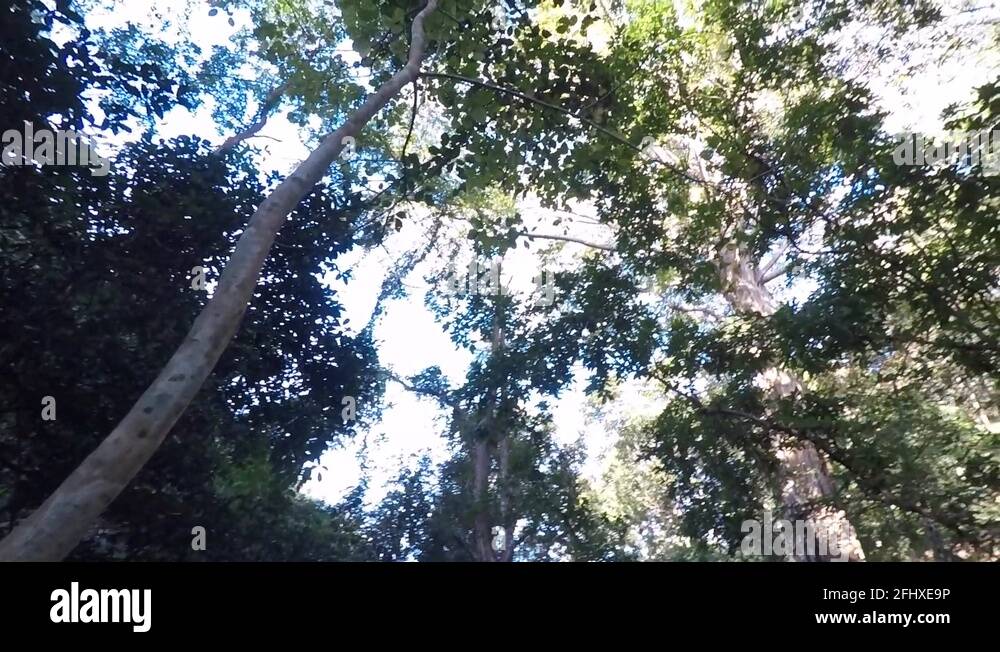 Down below Stock Videos & Footage - HD and 4K Video Clips - Alamy