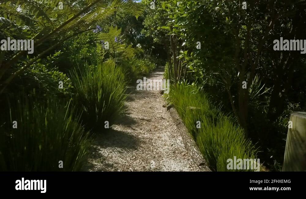 Tropical pathway Stock Videos & Footage - HD and 4K Video Clips - Alamy