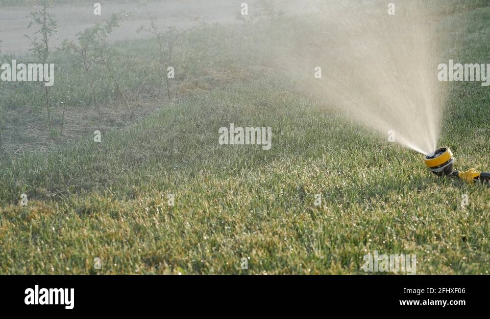 Sparkling water spraying out of sprinkler on the green lawn Stock Video ...