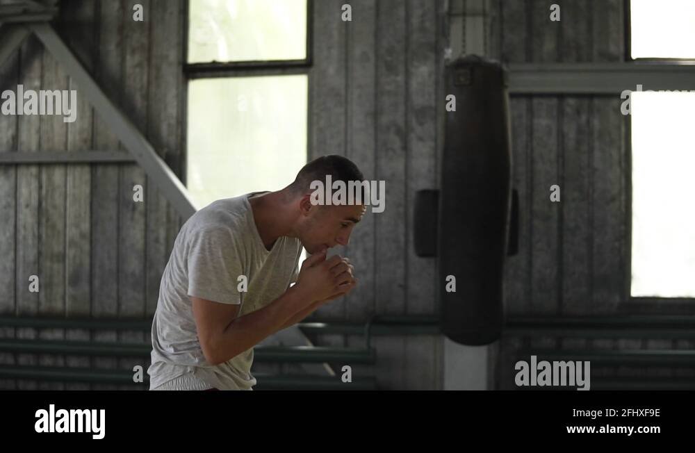 Boxer hands up Stock Videos & Footage - HD and 4K Video Clips - Alamy
